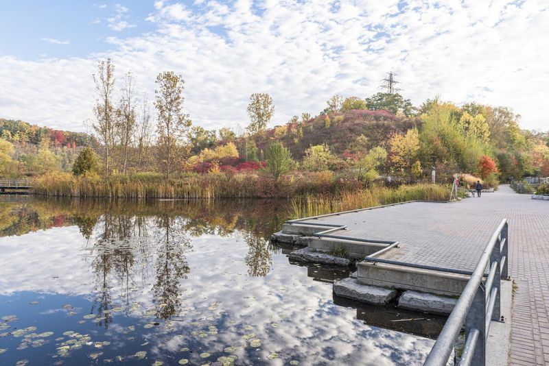 Canadian Nature Park in Toronto: A Daytime Adventure HDRi Maps and ...