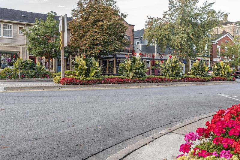 A Canadian Suburb in Autumn: Exploring Toronto HDRi Maps and Backplates