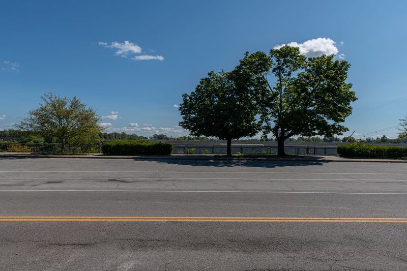 Canadian Suburban Neighbourhood: A Tree-Lined Street HDRi Maps and ...