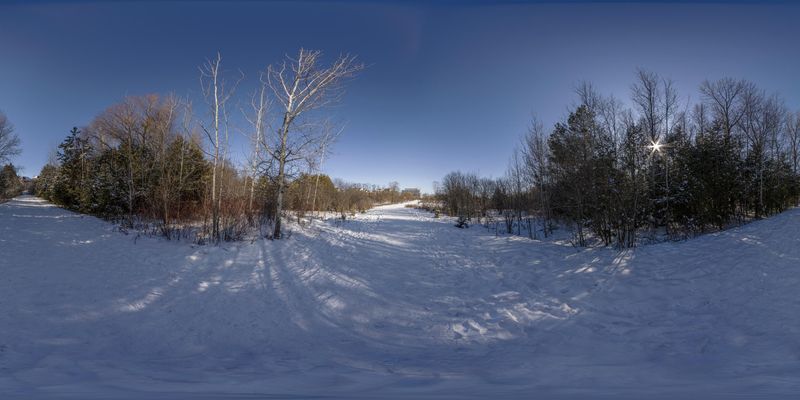 A Canadian Winter Scene: Snow, Trail, and Trees HDRi Maps and Backplates