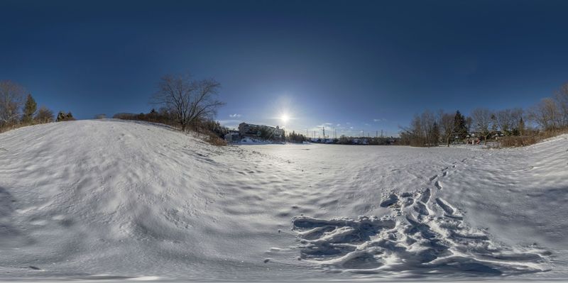 Canadian Winter: Woody Plantations and Snow-Covered Trees HDRi Maps and ...