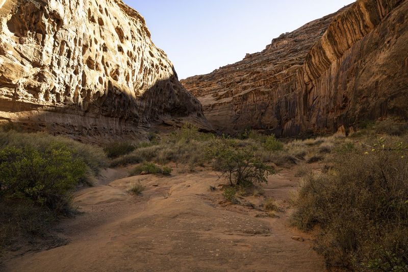 Canyonlands: Red Rock Landscape in Utah HDRi Maps and Backplates