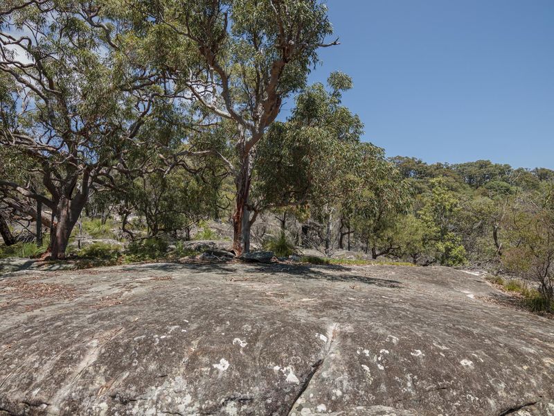 Carved Rocks in a Rugged Landscape Forest HDRi Maps and Backplates