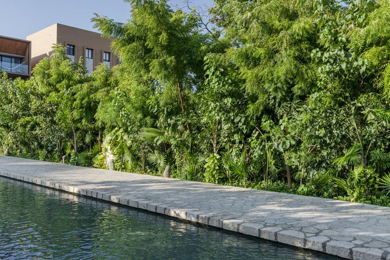 Cement Pathway at Large Lake in Solidaridad, Mexico HDRi Maps and ...