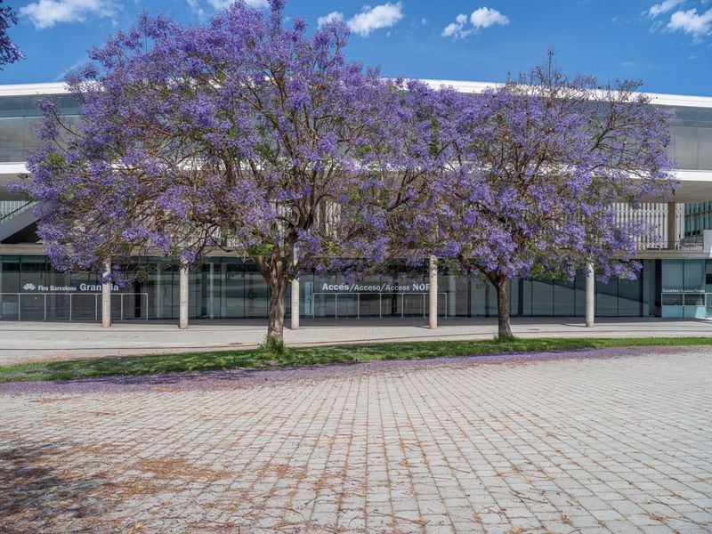 City Life in Barcelona: Embracing Urban Greenery - HDRi Maps and Backplates