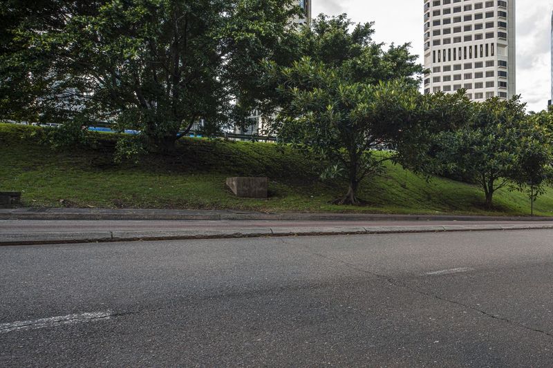 City Street With High Rise Buildings and Greenery HDRi Maps and Backplates