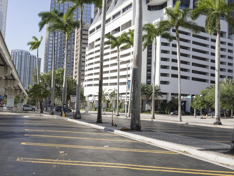 City Life in Miami Beach: High-rise Buildings and Modern Architecture ...