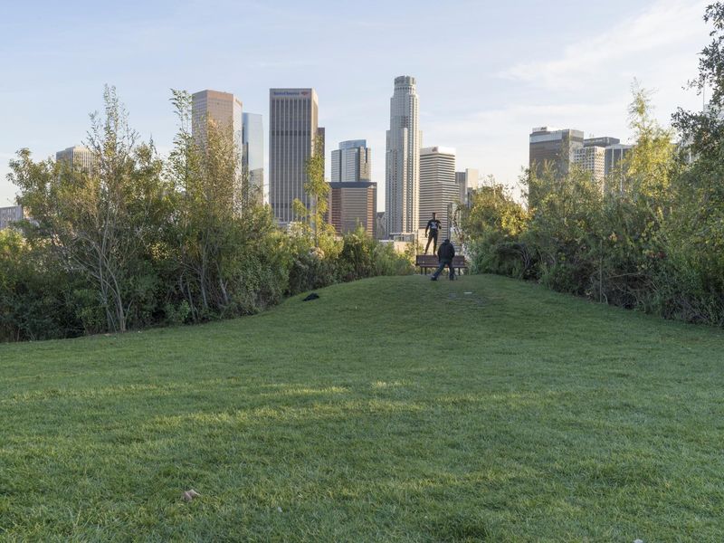 Cityscape of Grassy Area in Recreational Estate HDRi Maps and Backplates