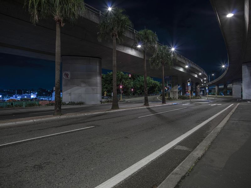 Cityscape at Night: Illuminated Roads and Bridges HDRi Maps and Backplates