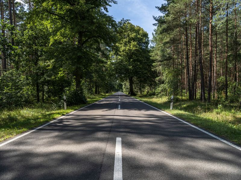 Clear Sky Landscape: A Road Through the Forest in Berlin HDRi Maps and ...