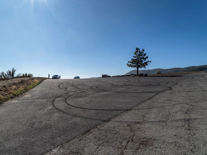 Clear Sky and Majestic Mountains: An Open Space Filled with Trees HDRi ...
