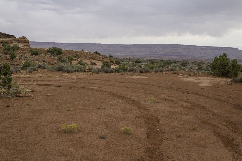 Cloudy Day Landscape with Vegetation HDRi Maps and Backplates