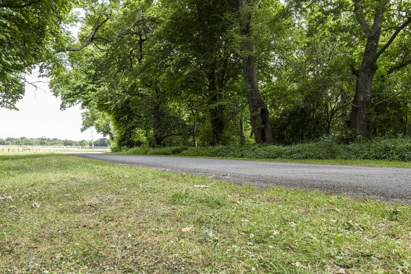 Cloudy Forest Road: A Natural Landscape HDRi Maps and Backplates