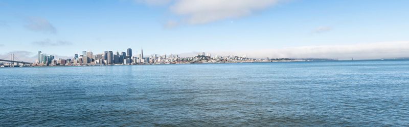 Coastal City Skyline with Ocean View
