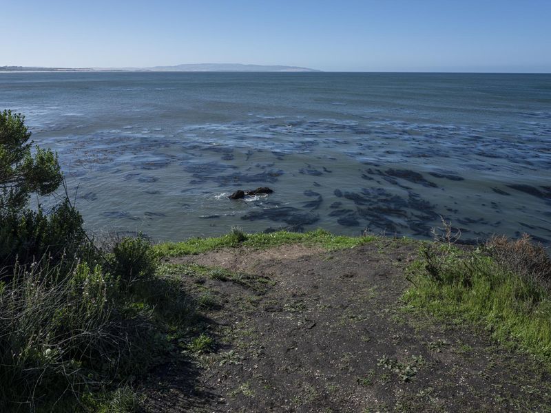 Coastal Landscape of California's High Cliffs HDRi Maps and Backplates