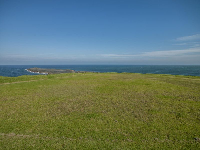 Coastal Landscape with Open Spaces and Ocean View HDRi Maps and Backplates