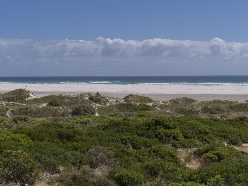 Coastal Landscape in South Africa with Beach Shrubs HDRi Maps and ...