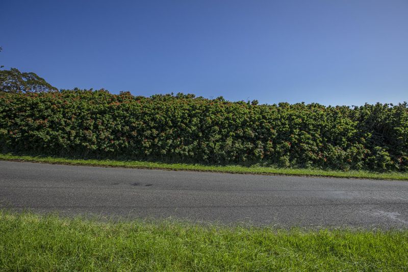 Coastal Road with Vegetation and Ocean Horizon HDRi Maps and Backplates