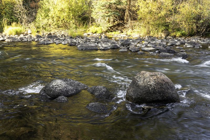 Colorado Autumn Landscape: Taylor River HDRi Maps and Backplates