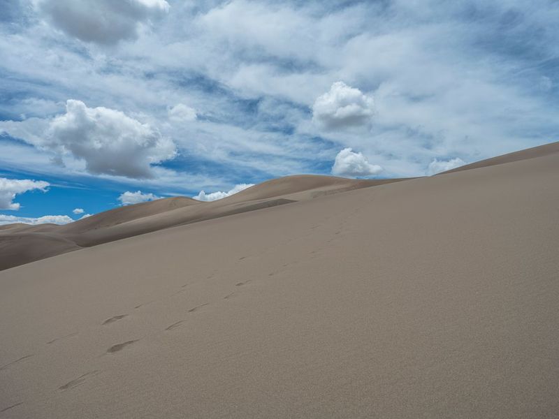 Colorado Desert Landscape: Endless Sand Dunes in the USA HDRi Maps and ...