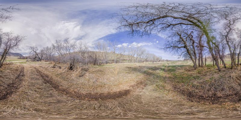 Colorado's Dirt Field and Tree Line in Springtime - HDRi Maps and ...