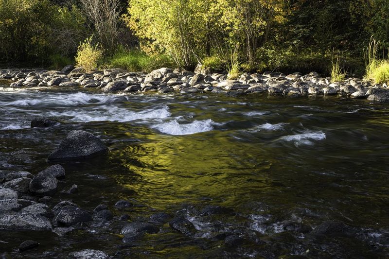 Fluvial Landforms of Colorado: Exploring Taylor River HDRi Maps and ...