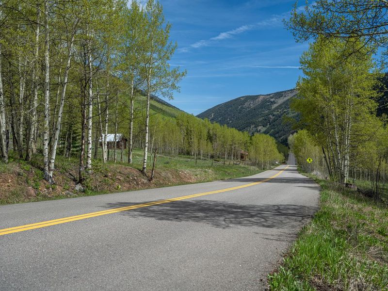 Colorado Forest: Aspen Trees and Mountains HDRi Maps and Backplates