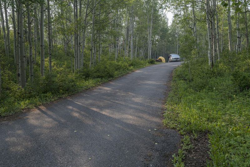 Colorado Forest and Grassy Meadows Mountains HDRi Maps and Backplates