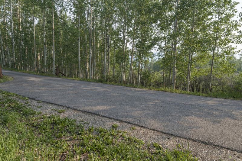 Exploring Colorado: Forests, Mountains, and Tall Grass HDRi Maps and ...