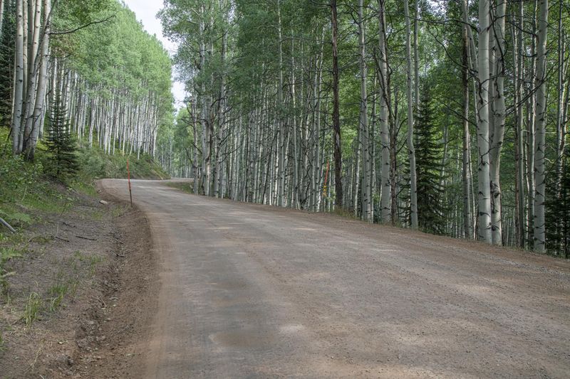 Colorado Forest Road in Alpine Landscape HDRi Maps and Backplates