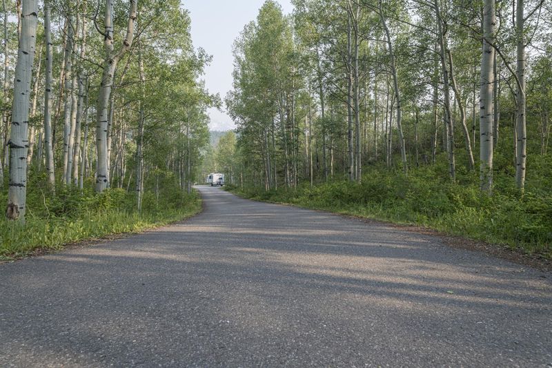 Colorado Forest Road through the Mountains HDRi Maps and Backplates