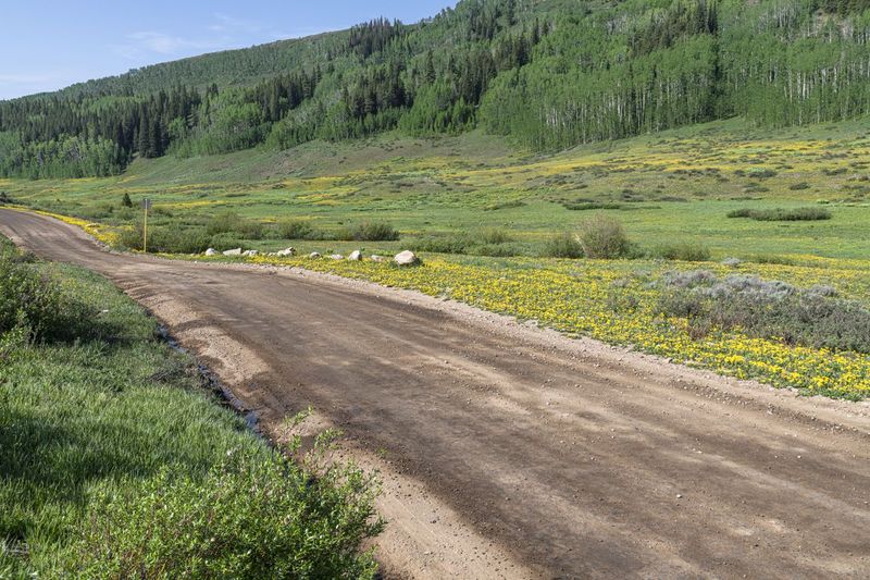 Colorado Highlands: Lush Green Landscape - HDRi Maps and Backplates