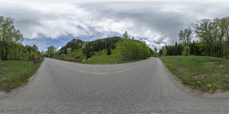 Colorado Landscape: Aspen Trees and Clouds HDRi Maps and Backplates
