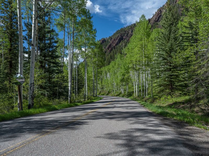Colorado Landscape: Straight Road Amid Aspen Trees HDRi Maps and Backplates
