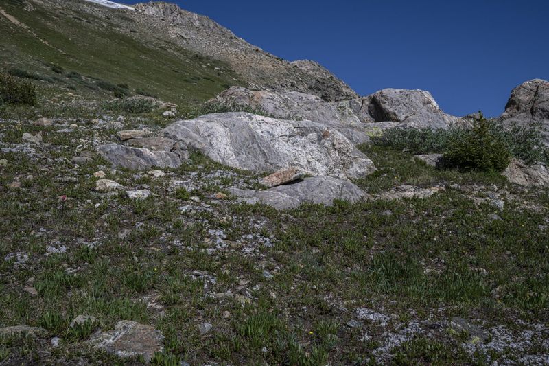 Colorado Mountain Landscape: Grass Highland Overlooking a Mountain ...