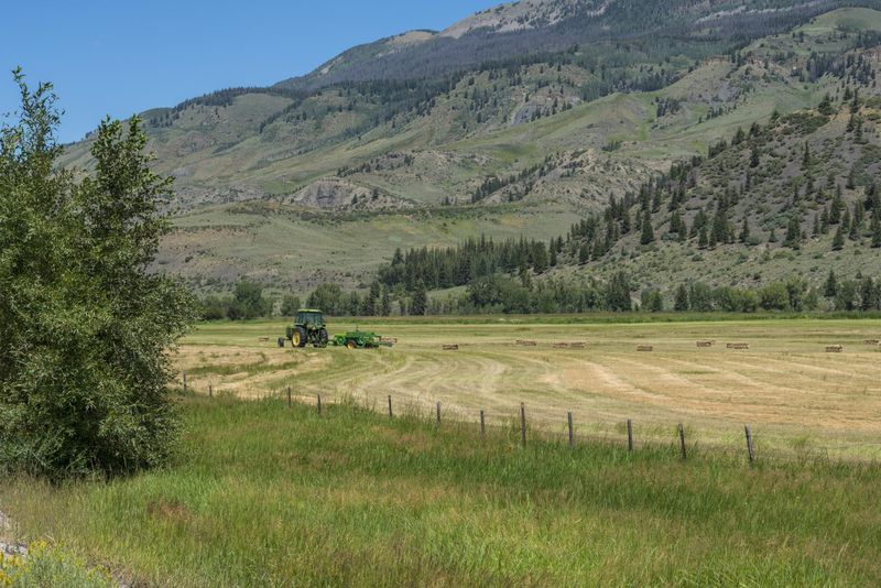 Colorado Mountain Landscape: Hills, Grass, Trees HDRi Maps and Backplates