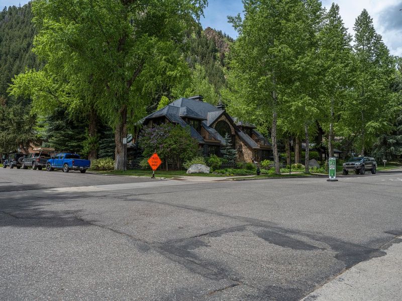 Colorado Road: Greenery and Aspen Trees HDRi Maps and Backplates