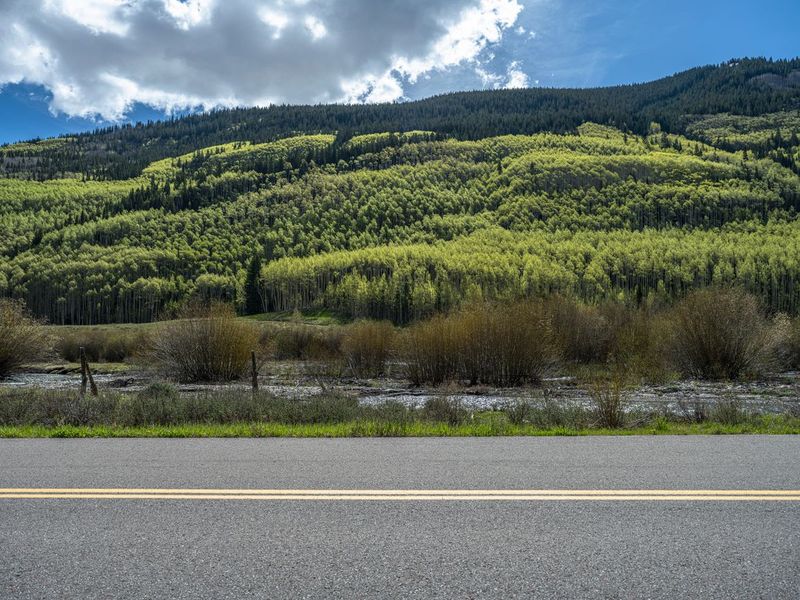 Colorado's Rural Landscape: Aspen Trees and Cloudy Skies HDRi Maps and ...