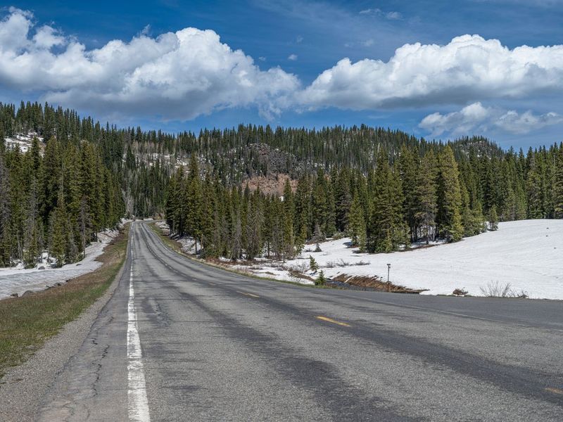 Snowy Road in Colorado: A Picturesque Winter Landscape HDRi Maps and ...