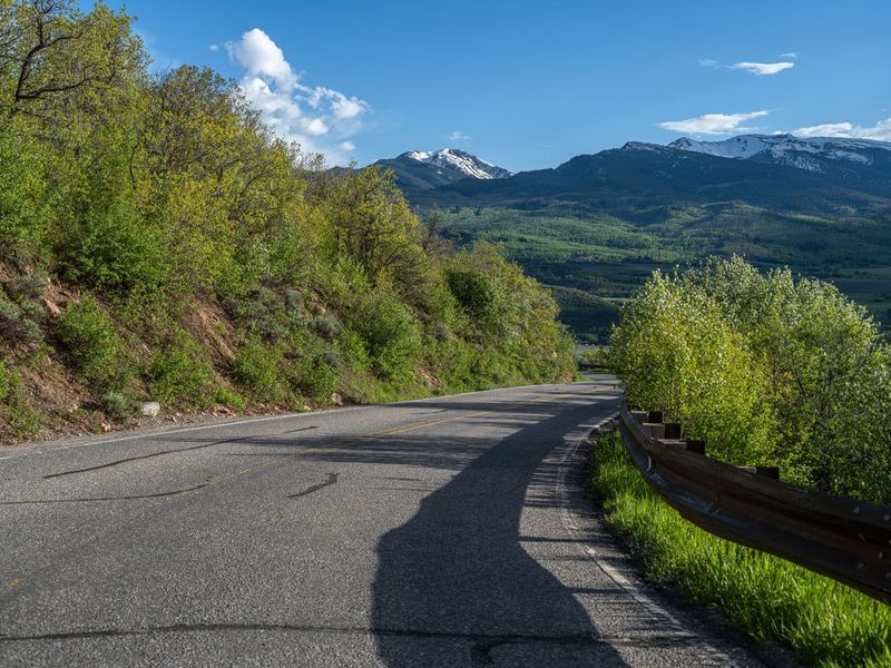 Colorado Suburban Road Lined with Aspen Trees HDRi Maps and Backplates
