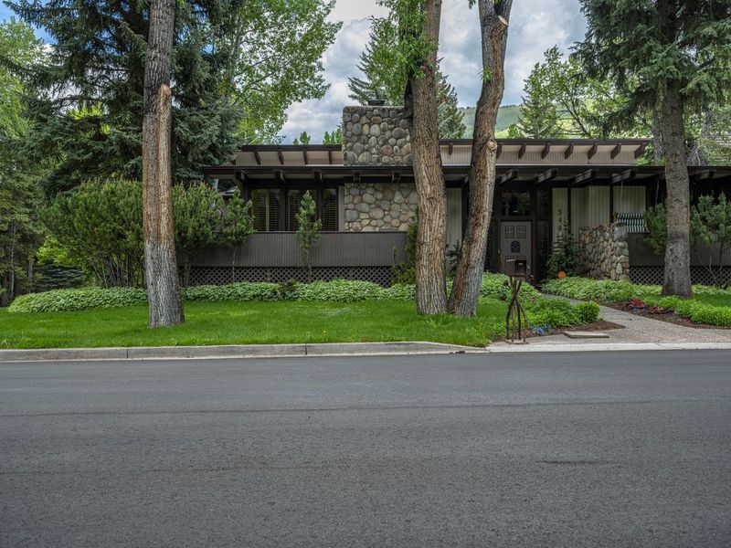 Colorado Suburban Road: Asphalt Lined with Trees HDRi Maps and Backplates