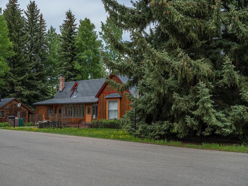 Colorado: Tree-Lined Road in Residential Area HDRi Maps and Backplates