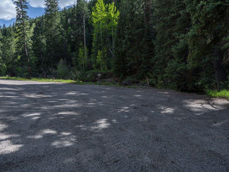 Aspen Landscape in Colorado, USA HDRi Maps and Backplates