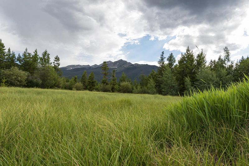 Colorado, USA: Grass, Trees, Clouds HDRi Maps and Backplates