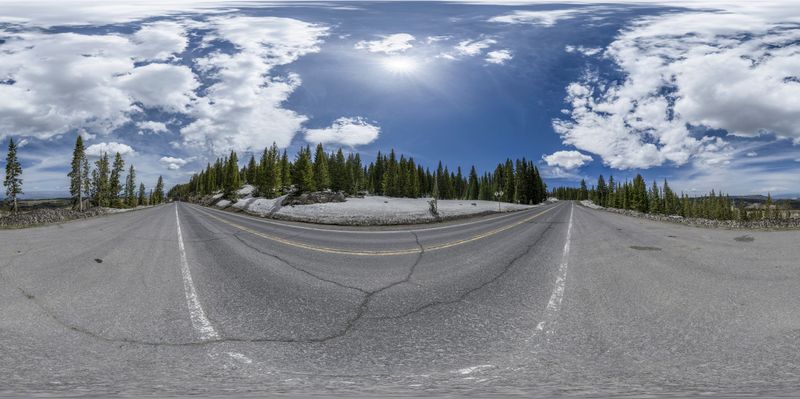 Panoramic Road Through Trees in Colorado, USA HDRi Maps and Backplates
