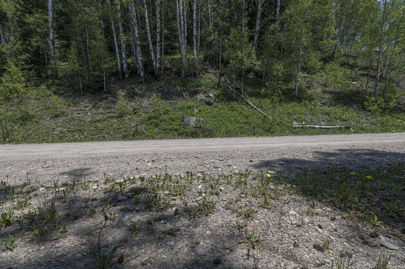 Colorado Wilderness: Low Dirt Road HDRi Maps and Backplates