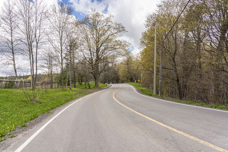 Country Road in Ontario, Canada Forest HDRi Maps and Backplates