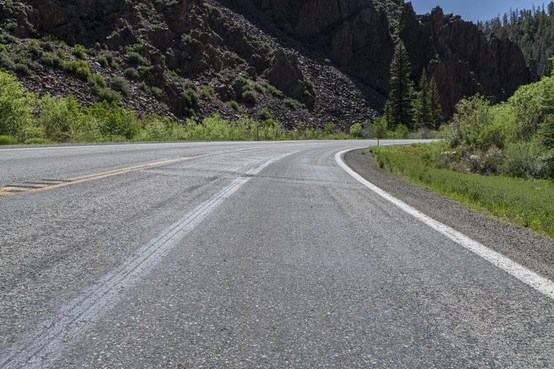 Crested Butte, USA: Nature's Forest and Trees HDRi Maps and Backplates
