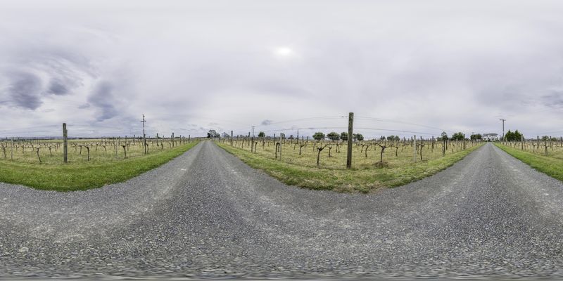 Curved Road in a Gloomy Rural Landscape HDRi Maps and Backplates