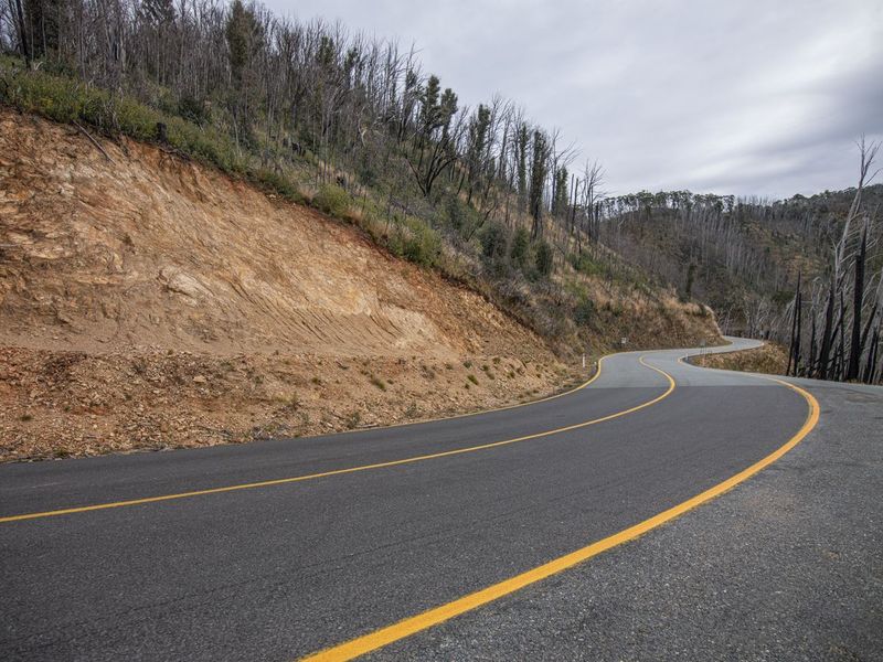 Curvy Mountain Road Through Trees on a Slope HDRi Maps and Backplates